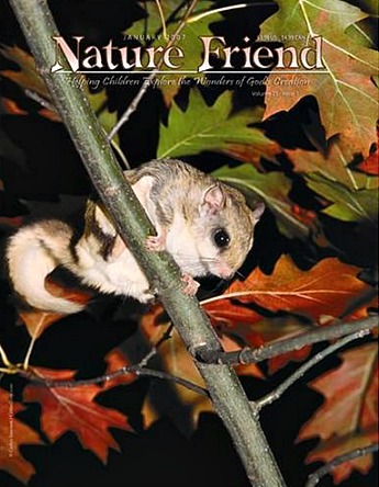 Seven Fabulous Christian Children's Magazines