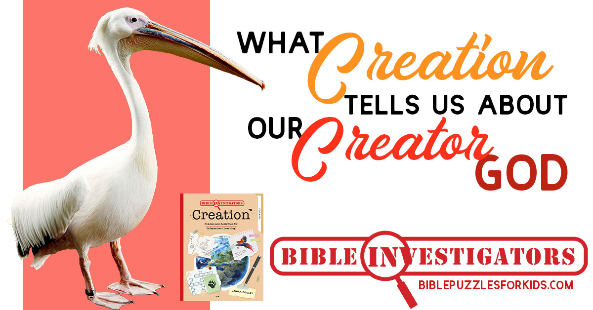 What Creation Tells Us About God Our Creator - Thinking Kids