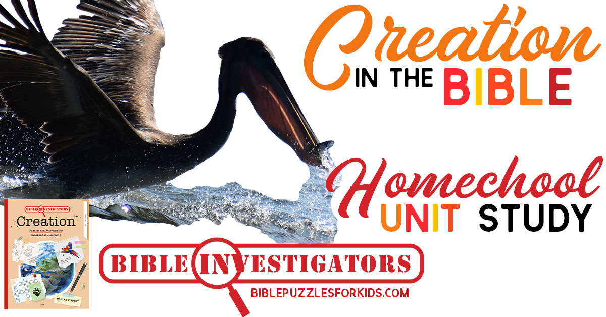 Creation in the Bible | Homeschool Unit Study - Thinking Kids