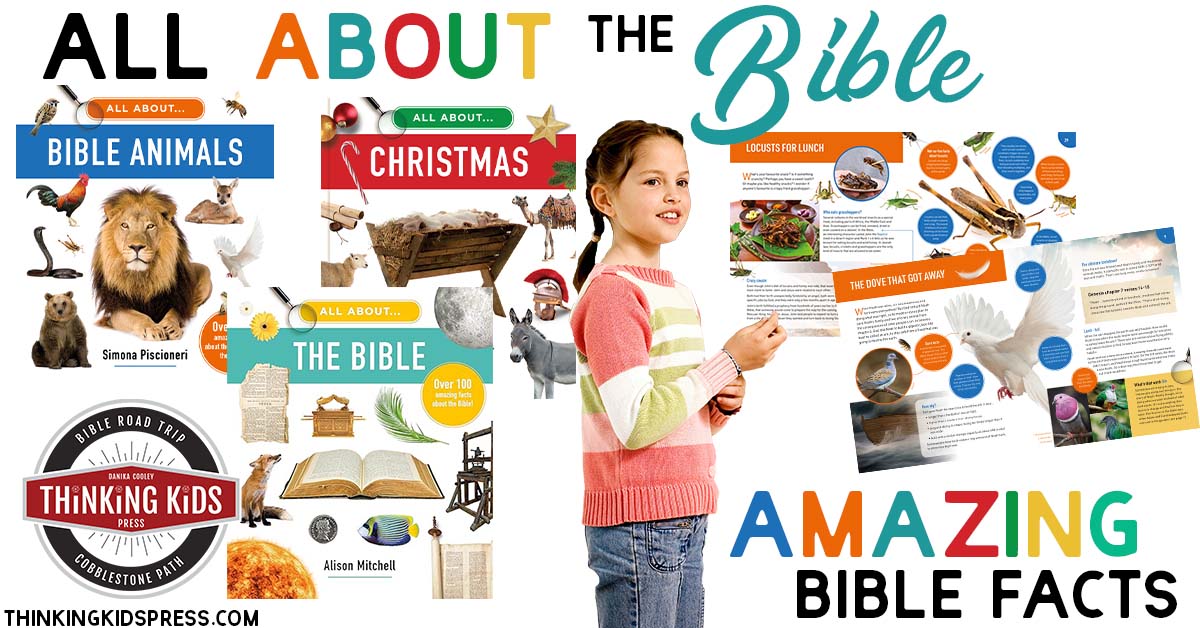 All about the Bible Books Amazing Facts about the Bible SM - Thinking Kids